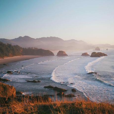 Rluoy Yan Luo Github