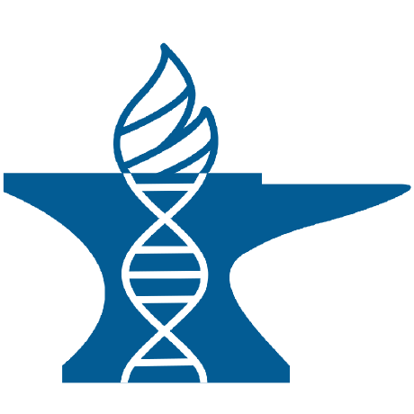 Anvil Project Github