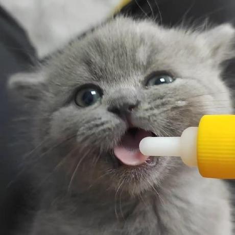 Gudaocoder 孤岛 Github