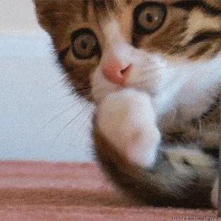 Akimoto Arashi Github - Full HD Vintage Arts for Desktop