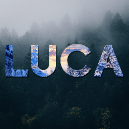 Luca1197 Luca Github