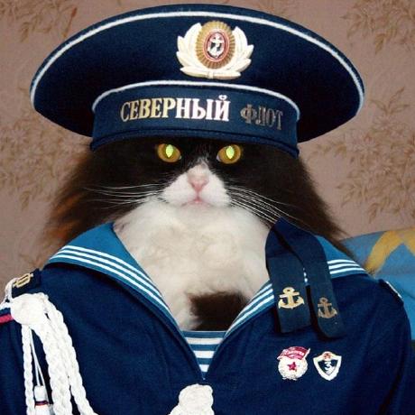 Monstaz Dmitriy Alekseev Github