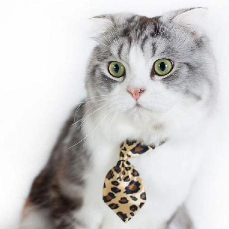 Surfskyio Surfsky Github - High Resolution Abstract Textures for Desktop