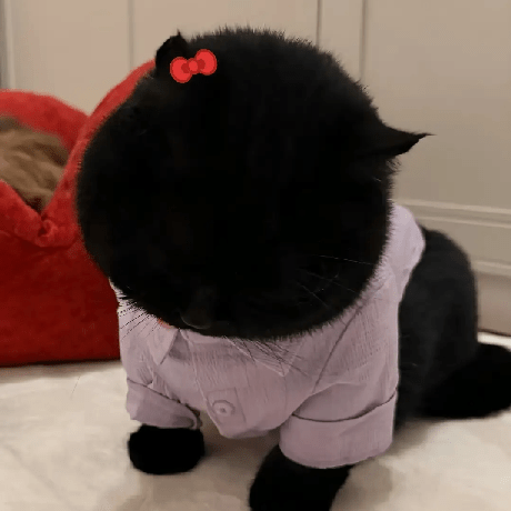 Bytangs Bytangs Github