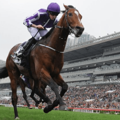 Lamhoson Bhorse Github