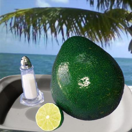 Giantavocado Giant Avocado Github