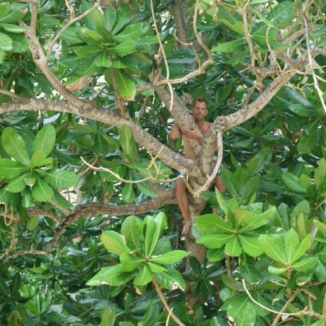 Sponsor Ajthinking On Github Sponsors Github