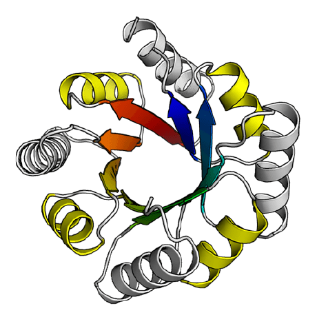 Protein Design Lab Github