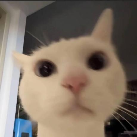 Chunx1nzheng Chunxin Zheng Github