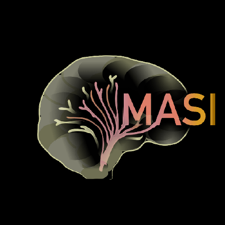 Masi Lab Vanderbilt Github
