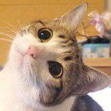 Chiller Endre Galaczi Github - Elegant Mobile Ocean Illustrations | Free Download