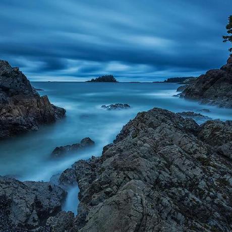 Pancho Snail Pancho Github