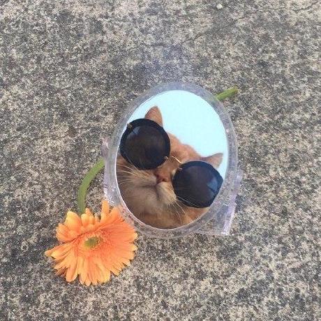 Coderpad File Tree Challenge Forked Codesandbox