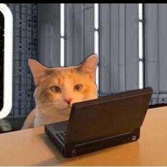 Paws Dev Pawsdev Github