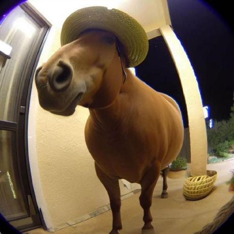 Spmfte Aidan Littman Github