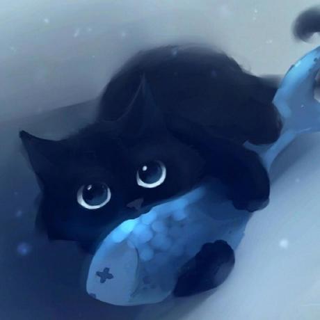 Dev Blackcat 검은냥냥이 Github