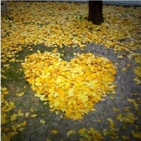 Kvm Github Topics Github - Best Colorful Arts in HD