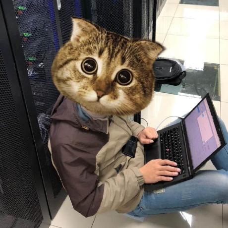 Garfield247 Catman Github
