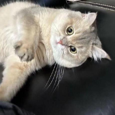 0x61daniel Daniel Github