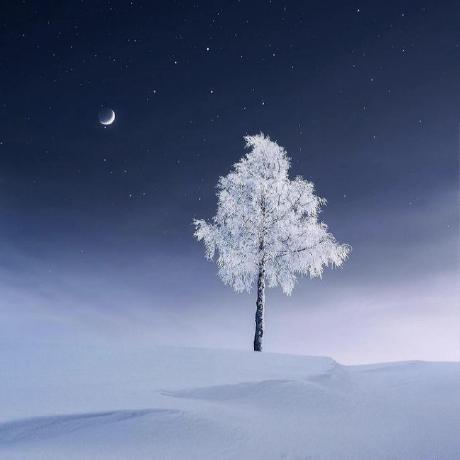 Cwang153 Cihang Wang Github