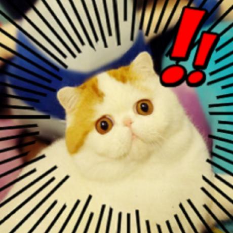 Github T Bonds Sigploit 3 - Full HD Landscape Backgrounds for Desktop