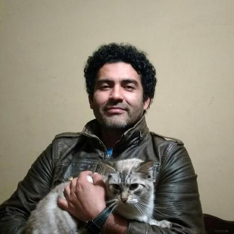 Carloscastillodev Carlos Castillo Github