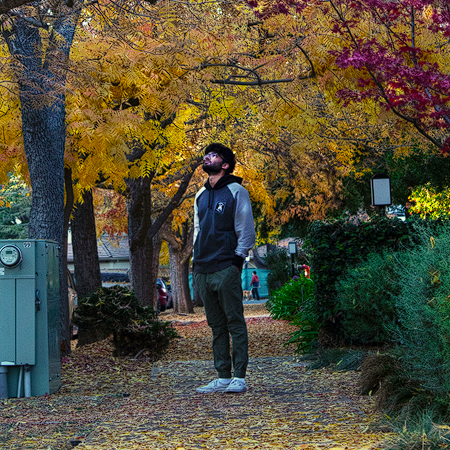 Samanyu24x Samanyu Github