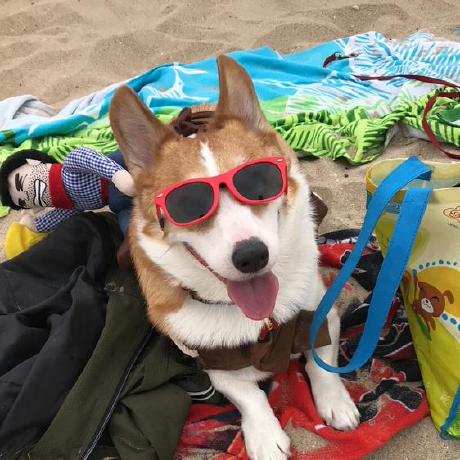 Koystr Stephen Koy Github