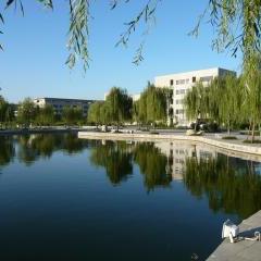 Chddongyang Dongyang Github