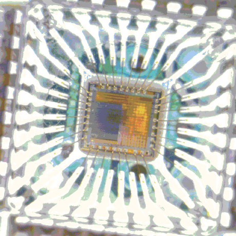 Cdrxavier Xavier Github