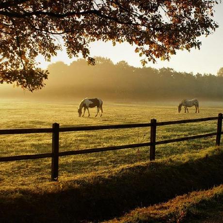 Code Chenxi Github - Creative Mobile City Backgrounds | Free Download