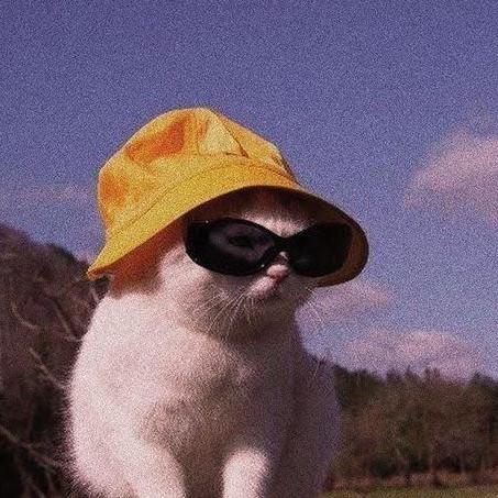 Poko18 Tadej Satler Phd Github