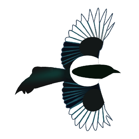 Magpie Github