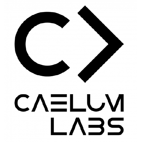 Caelum Labs Github