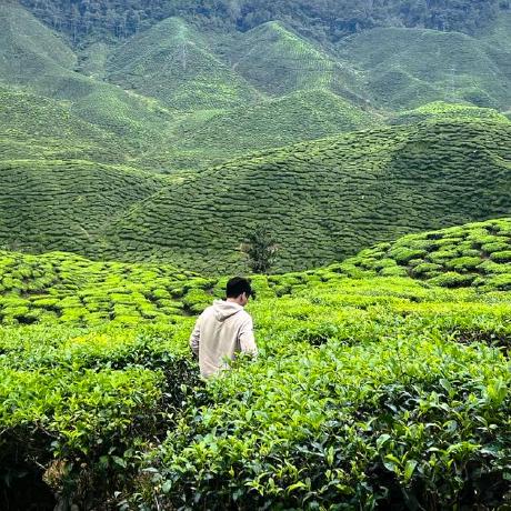 Kevinxchan Kevin Chan Github - Premium Minimal Illustration Gallery - Mobile