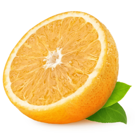Yorku Citrus Github