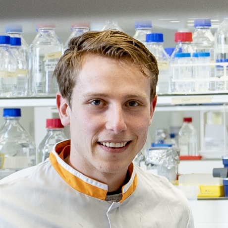 Github Copilot Bbg Wiki