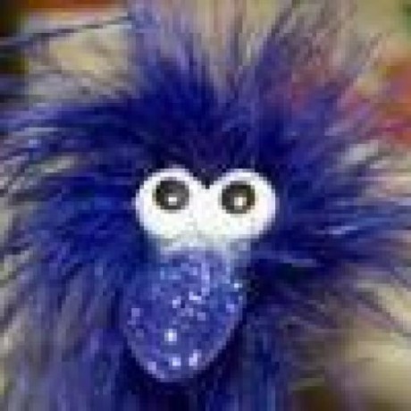 Github Saltyorg Docs