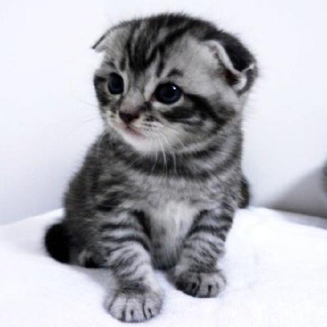 Land Sailing Robots Github - Abstract Image Collection - Desktop Quality