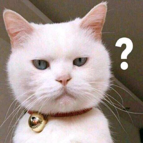 Linfeng93 Linfeng Github