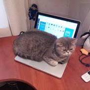 Arthur852 Arthur Github