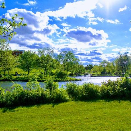 Frog Pond Labs Github