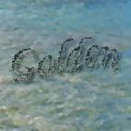 Golden1232004 Golden Github