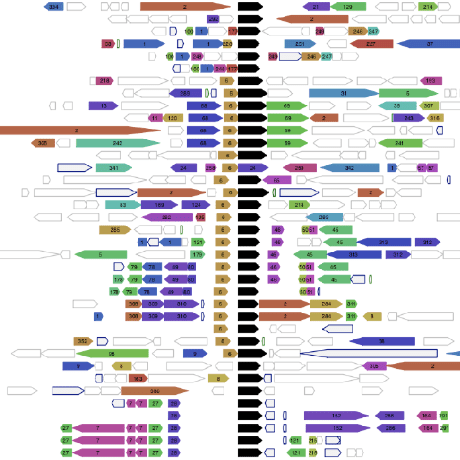 Atkinson Hauryliuk Lab Github