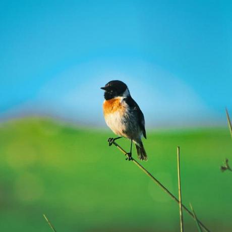 Eugene09s Eugene Github