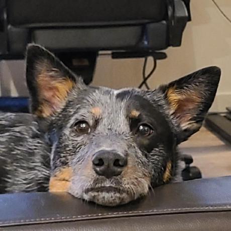 Torsten1014 Torsten Cannell Github