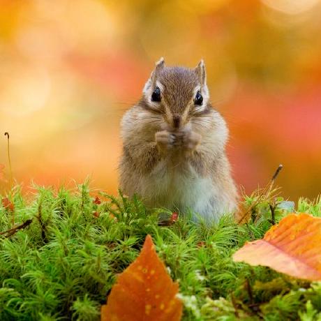 Github Spiderman Park Spiderman Park Github Io - Amazing Geometric Illustration - High Resolution