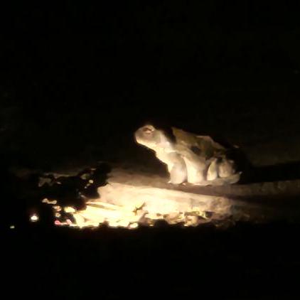 Ethan Jahn Ethan Jahn Github