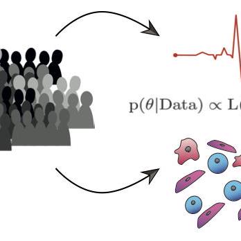 Vallejosgroup Github