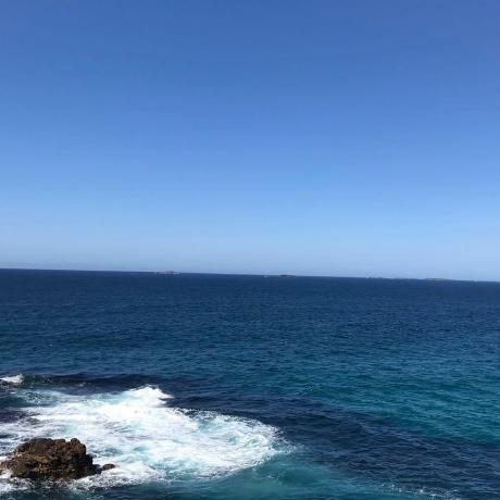 Strider1230 Strider Github